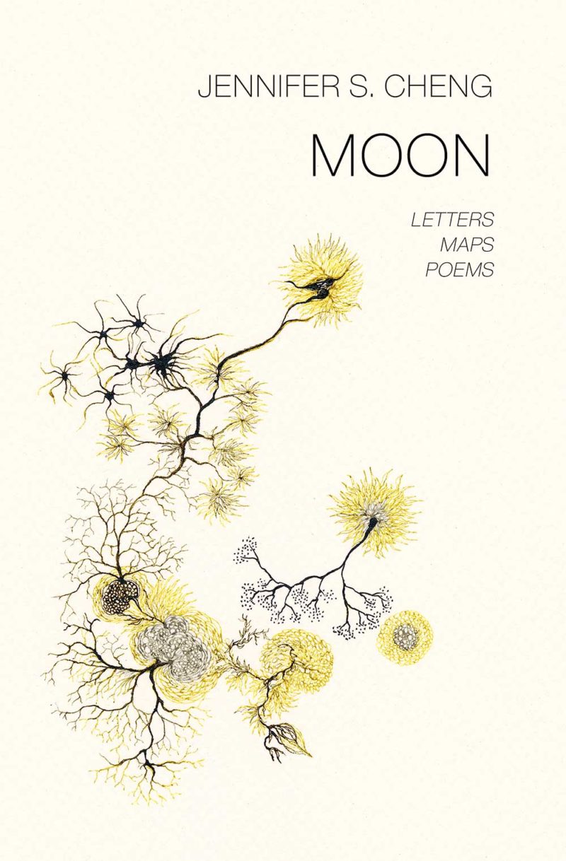 Moon: Letters, Maps, Poems • Tarpaulin Sky Press